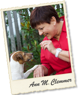 Stampin' Up! - Used Stamps Kits & Crafts Sale